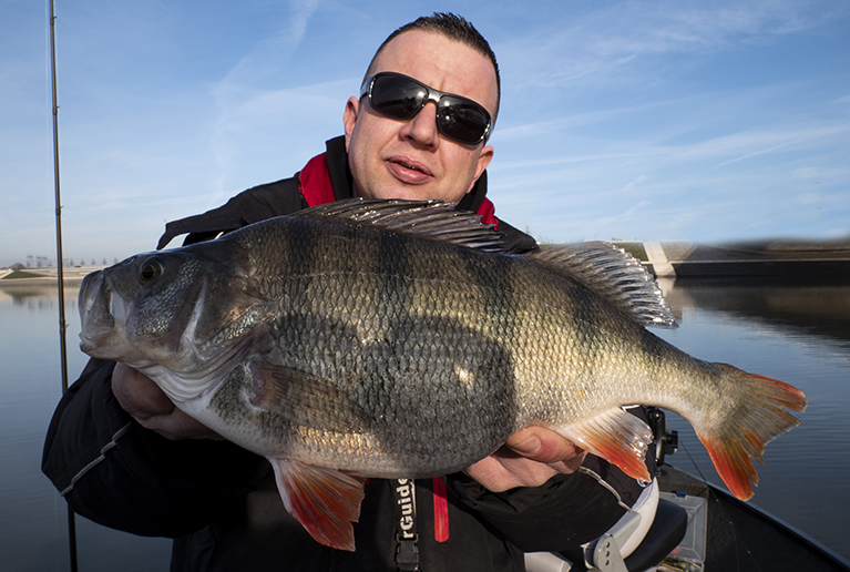 zanderfront | barsch